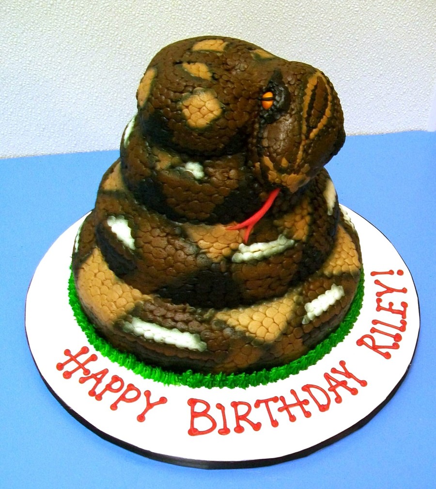 Coiled Snake Birthday! - CakeCentral.com