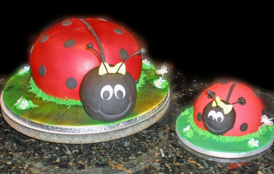 Lady Bugs Cakes - CakeCentral.com