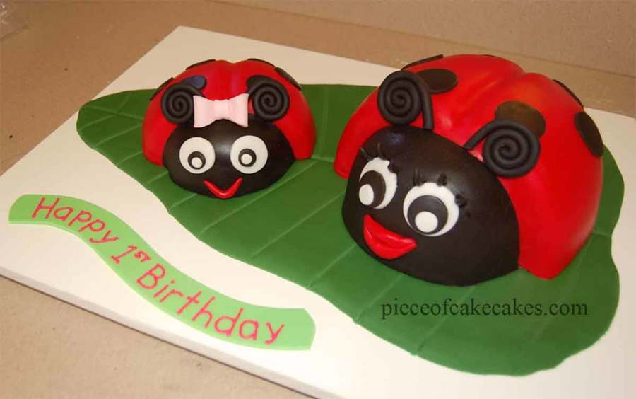 Ladybug And Smash Cake - CakeCentral.com