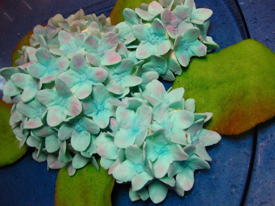 Hydrangea - CakeCentral.com