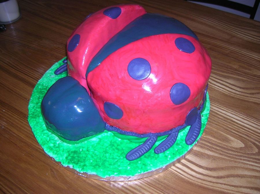 Fat Ladybug - CakeCentral.com