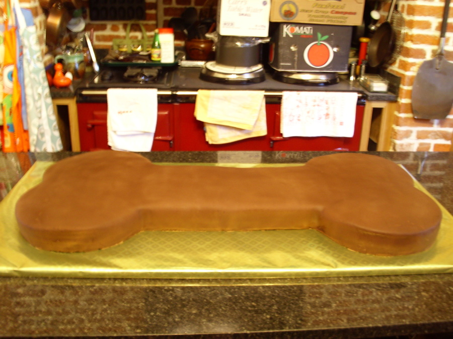 Dog Bone Cake - CakeCentral.com