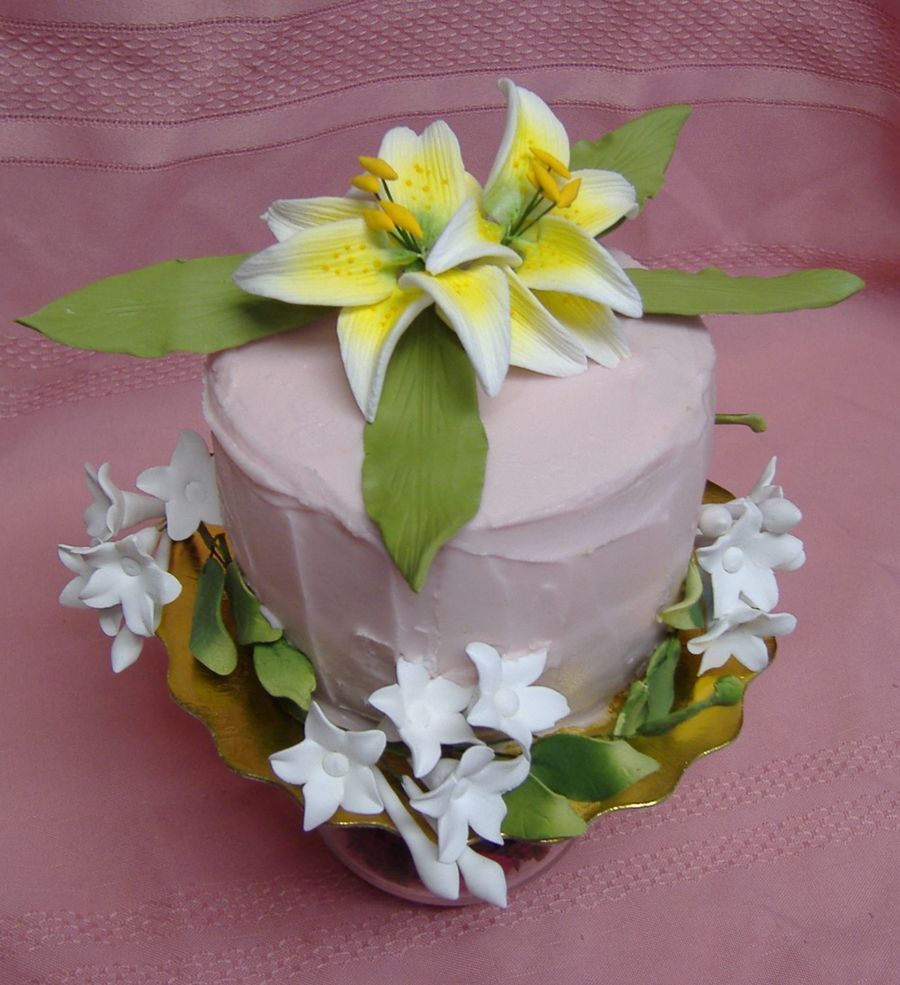 Pink Mini Cake - CakeCentral.com