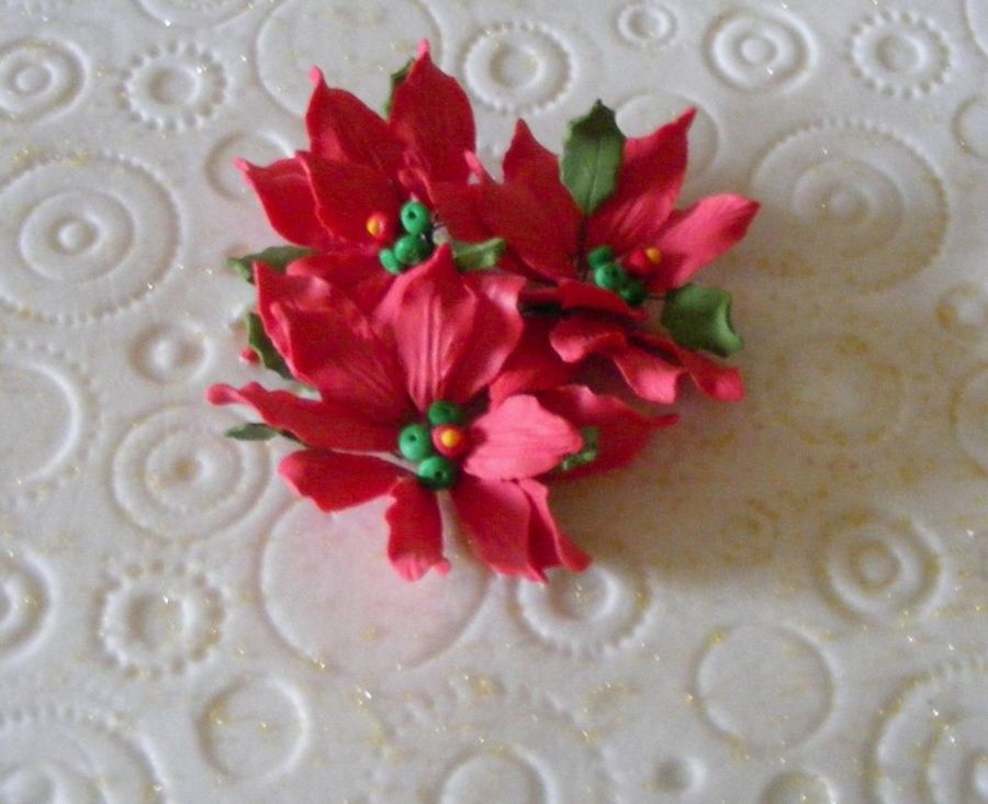 Practice Poinsettias - CakeCentral.com