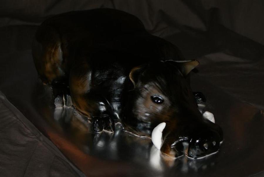 Wild Hog Cake - CakeCentral.com