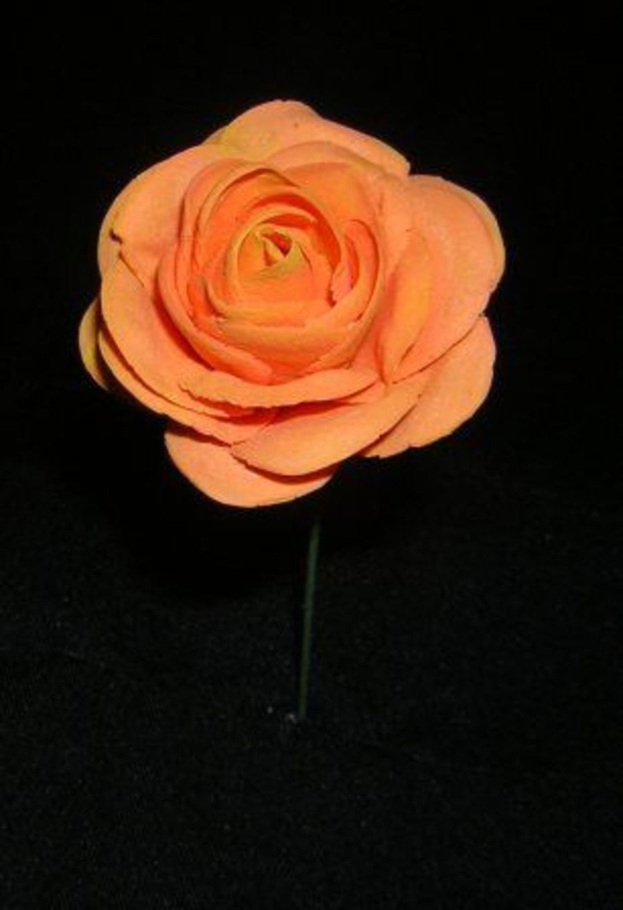 First Rose... - CakeCentral.com
