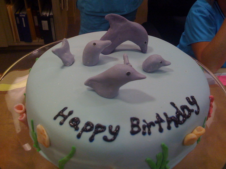 Dolphin Birthday Cake - CakeCentral.com