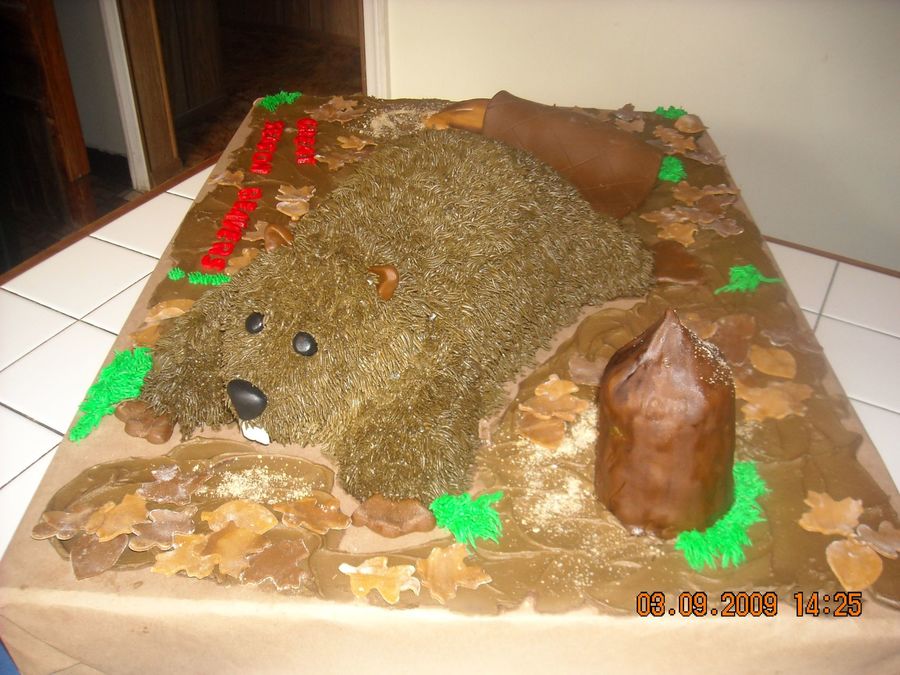 Beavers Face - CakeCentral.com