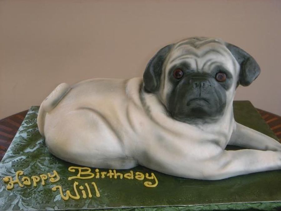 3D Pug Cake - CakeCentral.com
