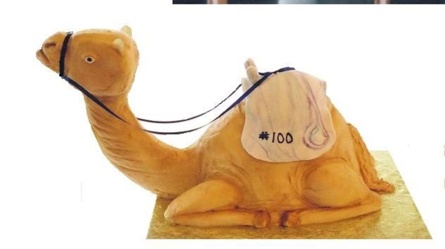 Camel - CakeCentral.com