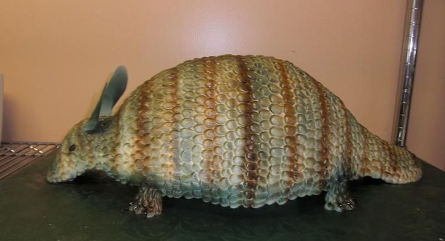 Armadillo Cake - CakeCentral.com