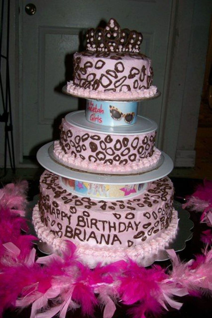 Cheetah Girls Birthday Cake - CakeCentral.com
