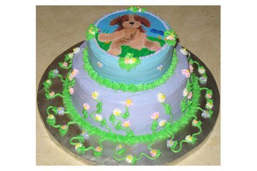Webkinz - CakeCentral.com