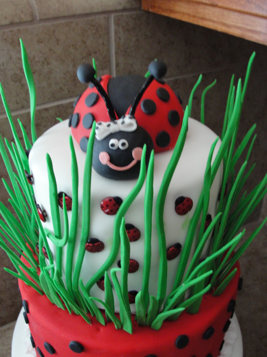 Ladybug Cake - CakeCentral.com