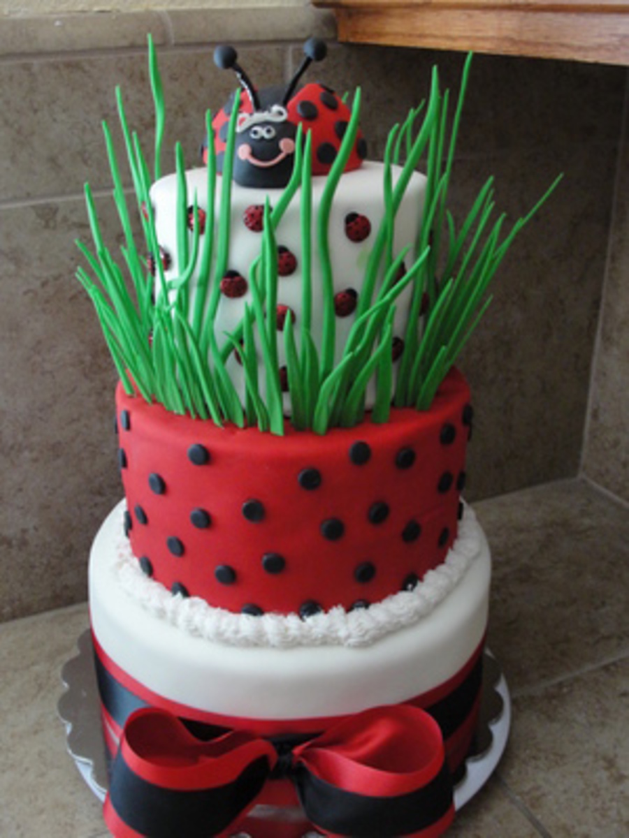 Ladybug Cake - CakeCentral.com