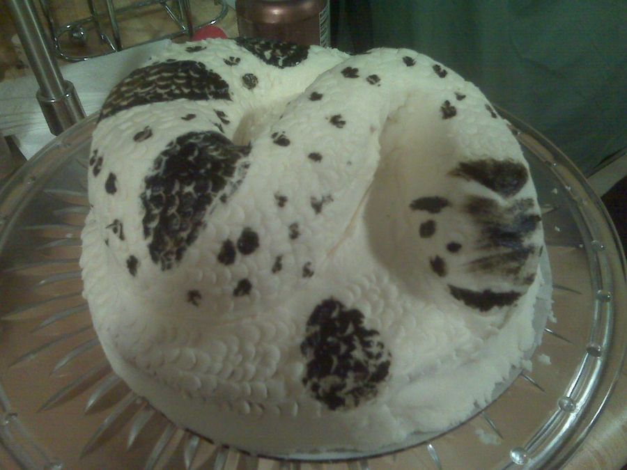 3D Snake - CakeCentral.com