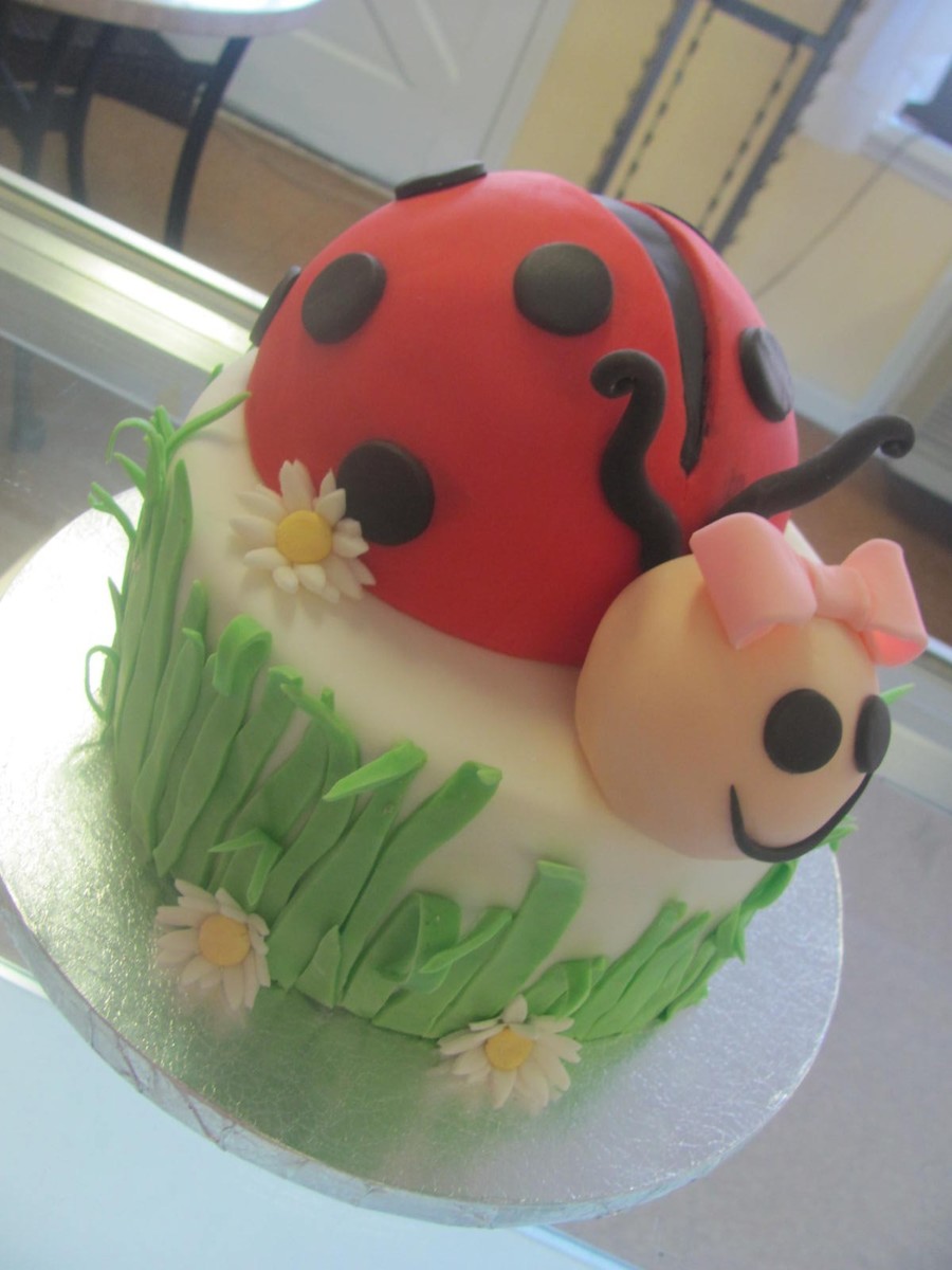 Ladybug Cake - CakeCentral.com