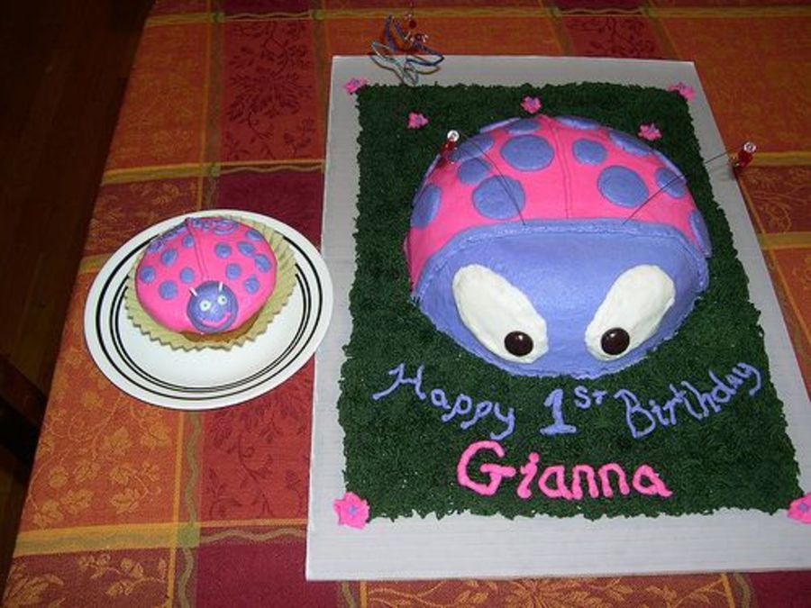 Ladybug Cake With Smash Cake - CakeCentral.com
