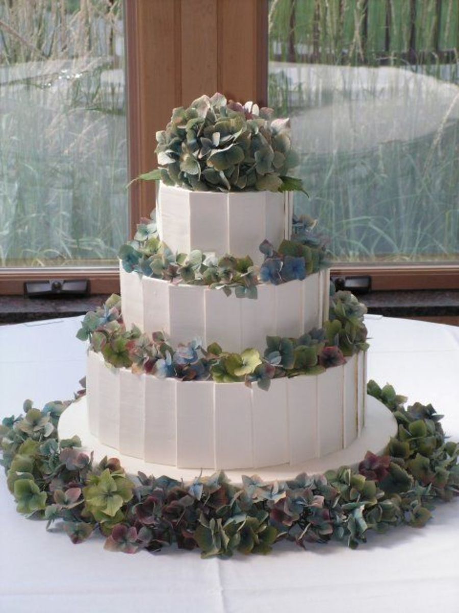 Chocolate Panel Hydrangea Ck - CakeCentral.com