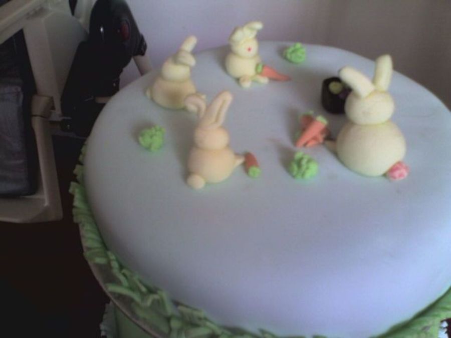 Bunny Rabbits - CakeCentral.com