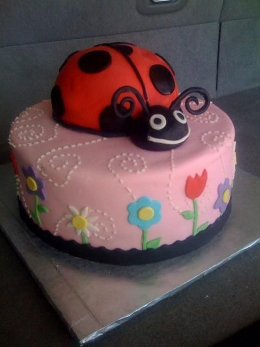Ladybug Cake - CakeCentral.com