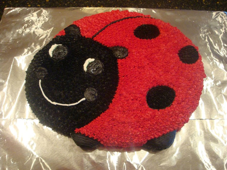 Ladybug Cake - CakeCentral.com