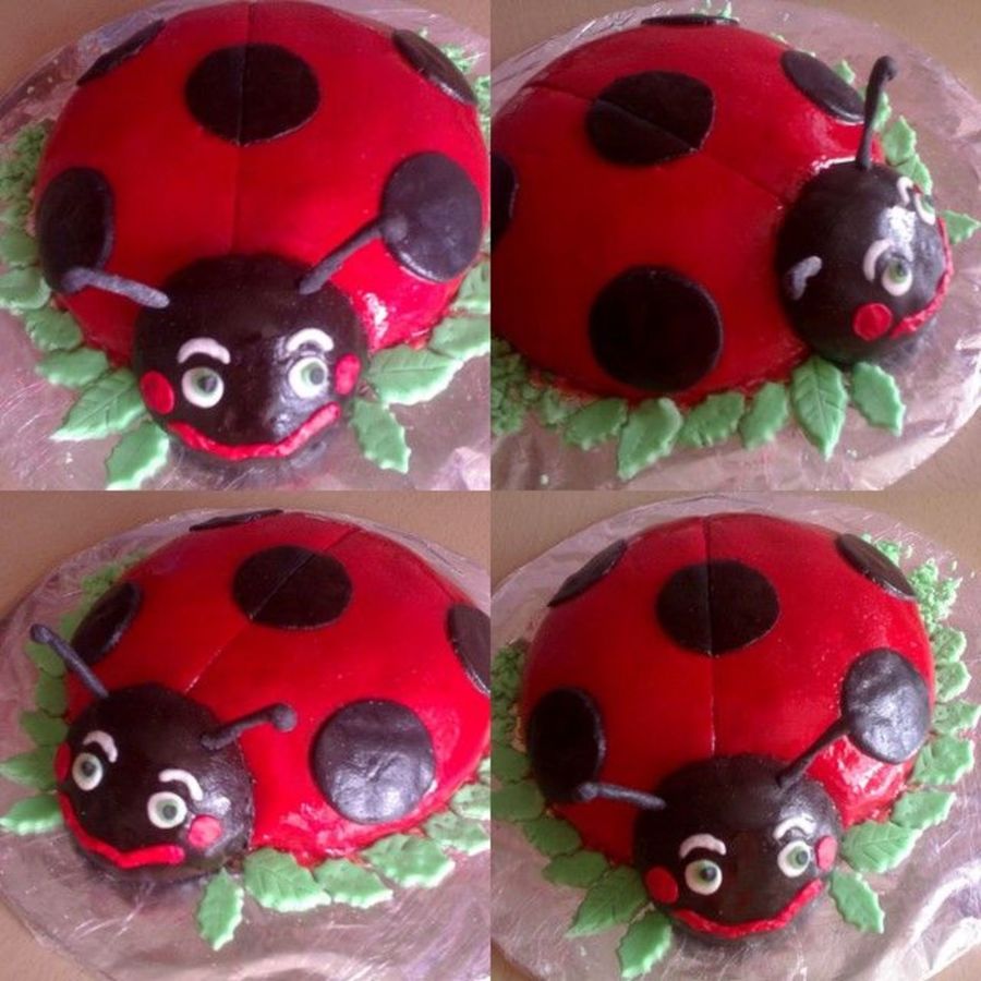 Ladybug Cake - CakeCentral.com