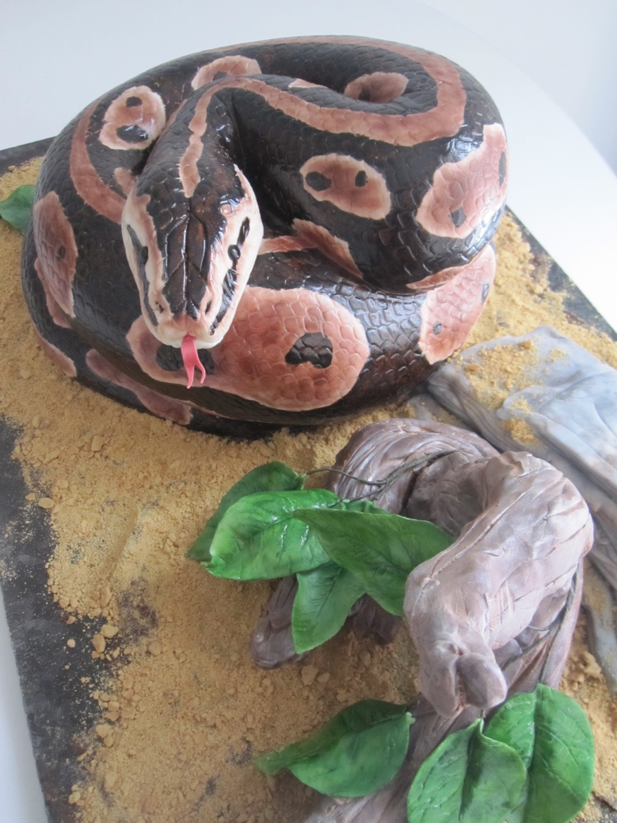 Sneaky Snake Surprise - CakeCentral.com