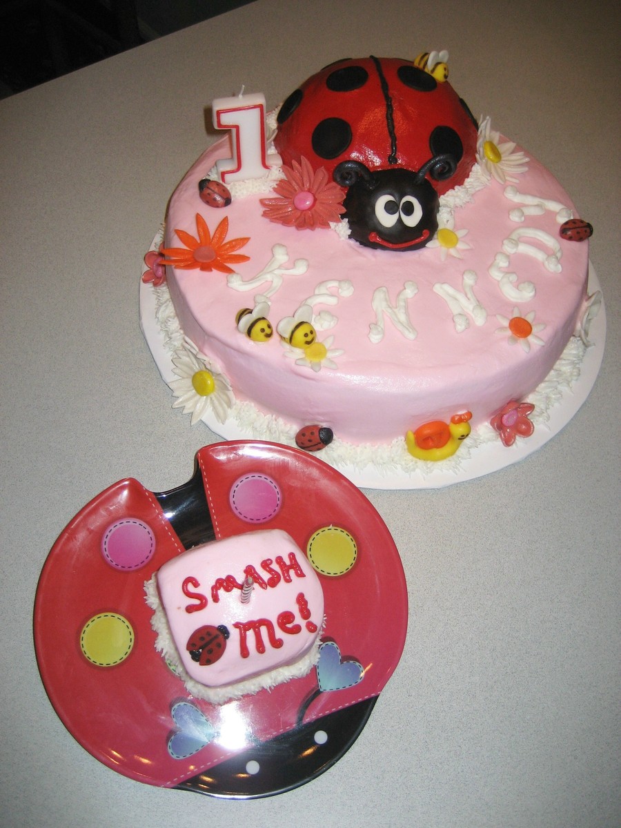 Ladybug Birthday Cake - CakeCentral.com