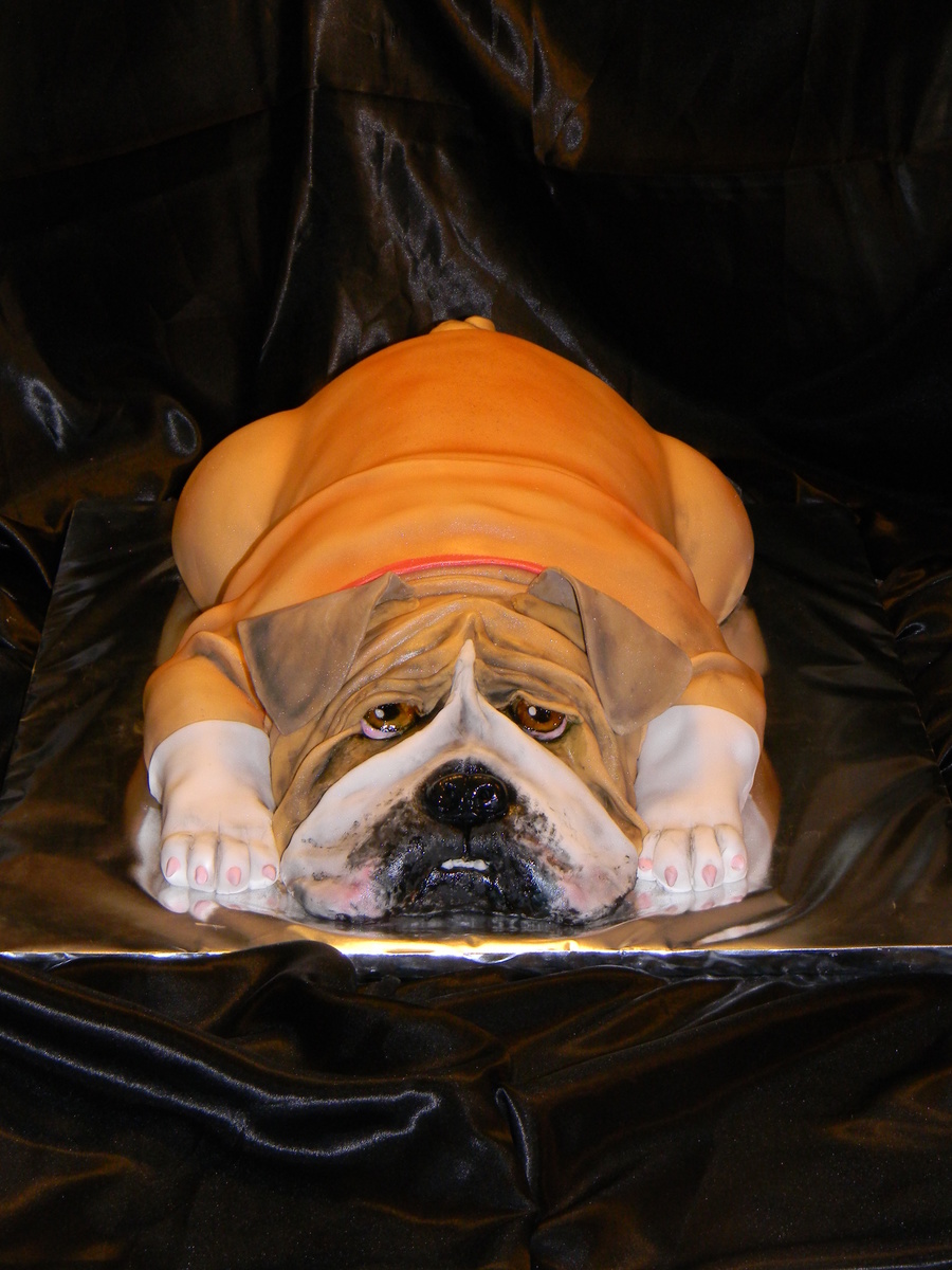 English Bulldog - CakeCentral.com