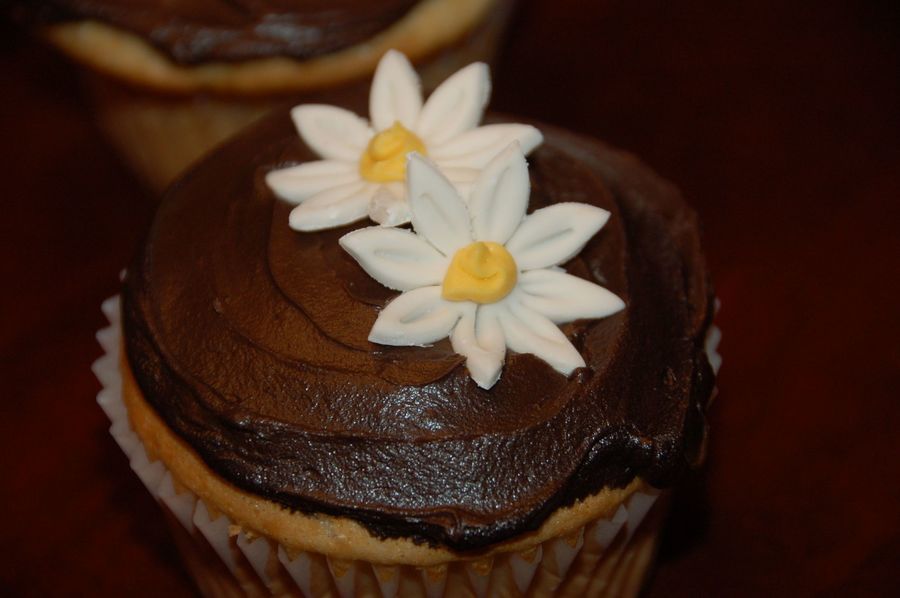Daisy Cupcakes - CakeCentral.com