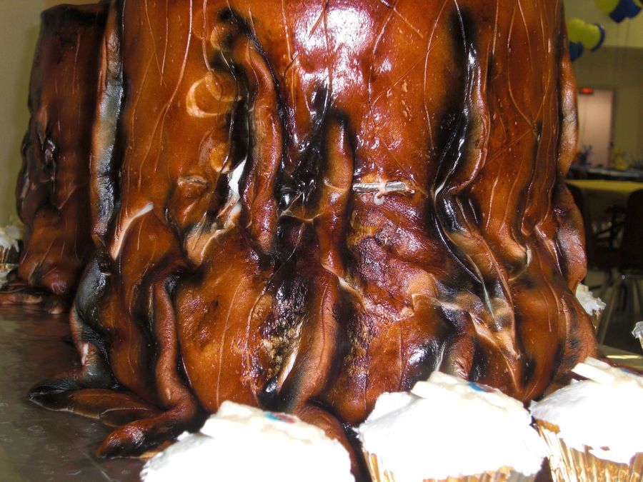 Boyscout Bridging Ceremony Tree Gone Bad - CakeCentral.com