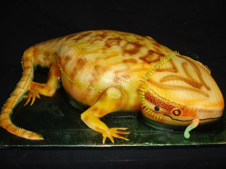 Bearded Dragon - CakeCentral.com