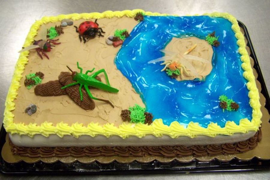 Bugs In The Swamp - CakeCentral.com