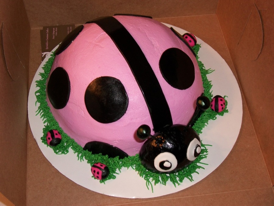 Hot Pink Ladybug Cake - CakeCentral.com