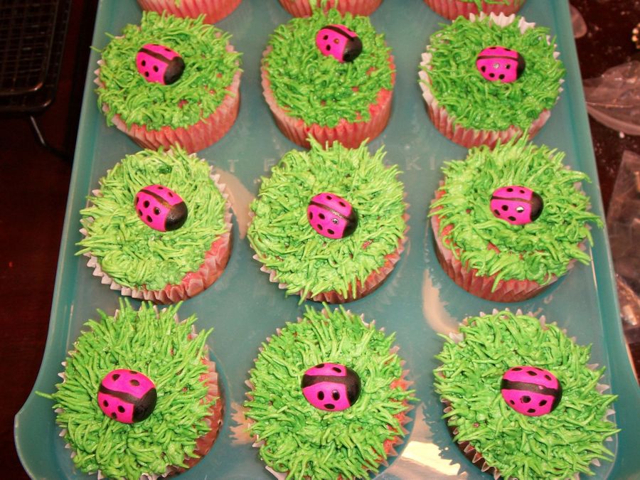 Hot Pink Ladybug Cake - CakeCentral.com