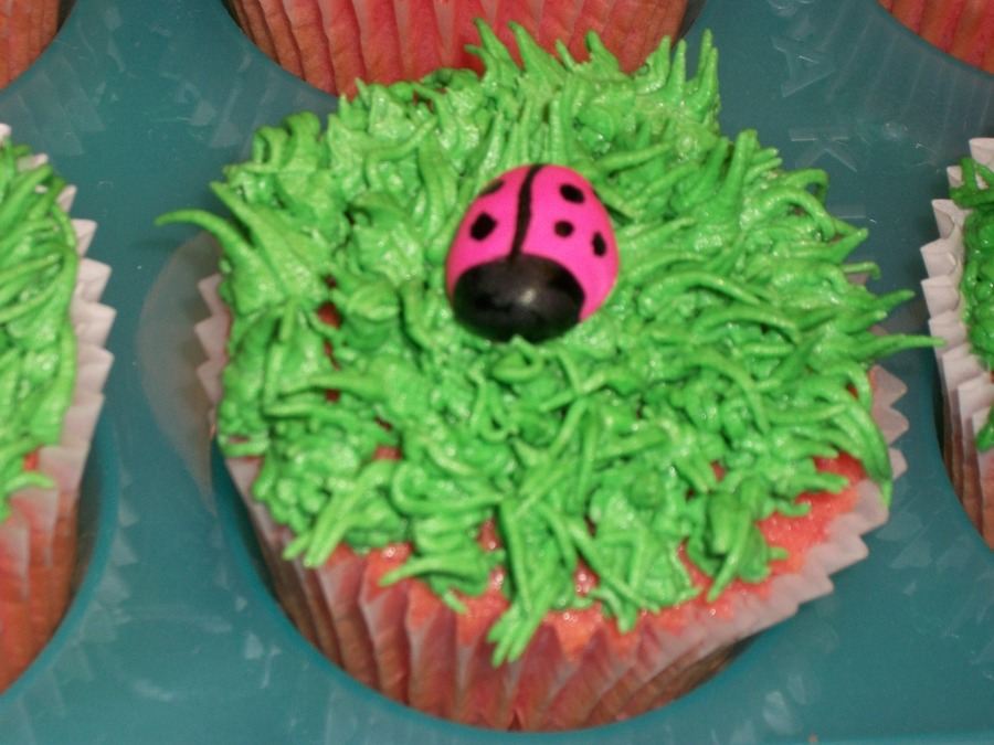 Hot Pink Ladybug Cake - CakeCentral.com