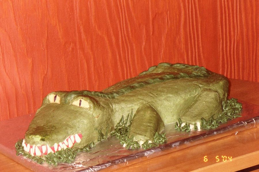 Gator Side View - CakeCentral.com