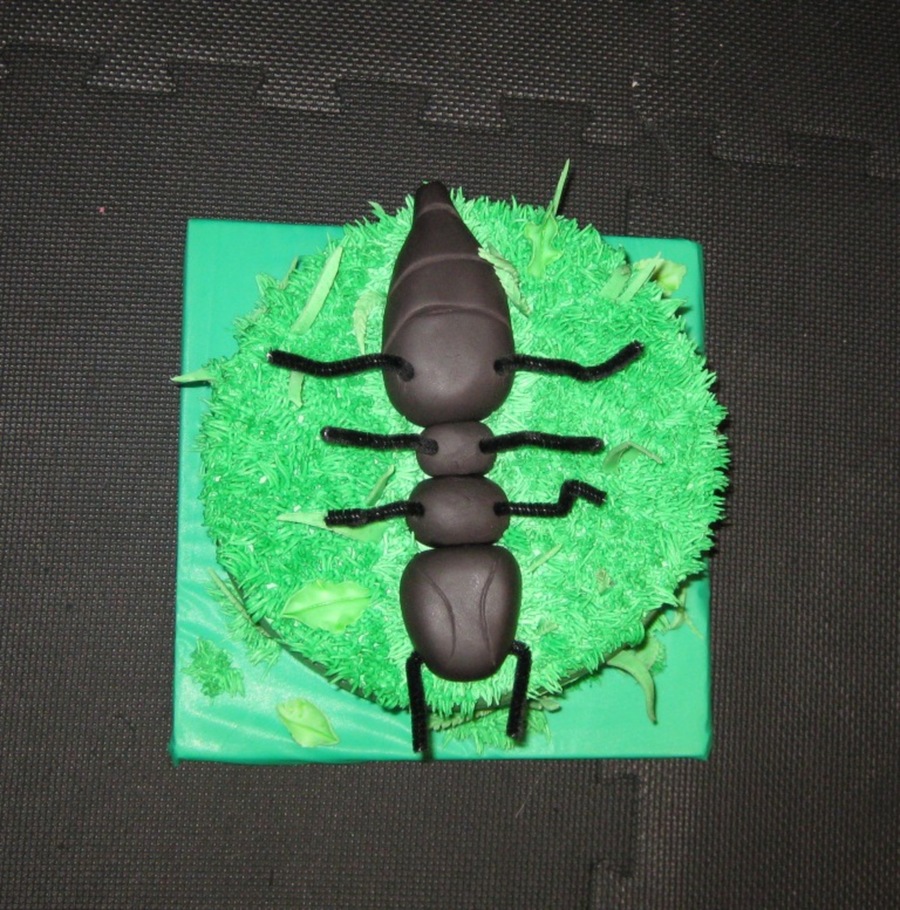 Dead Ant - CakeCentral.com