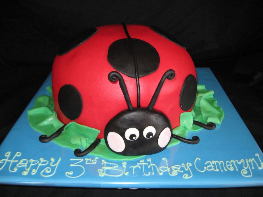 Lady Bug - CakeCentral.com