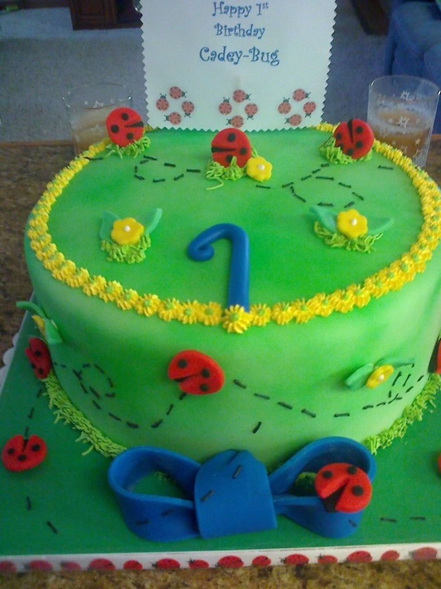 Ladybug Cake - CakeCentral.com
