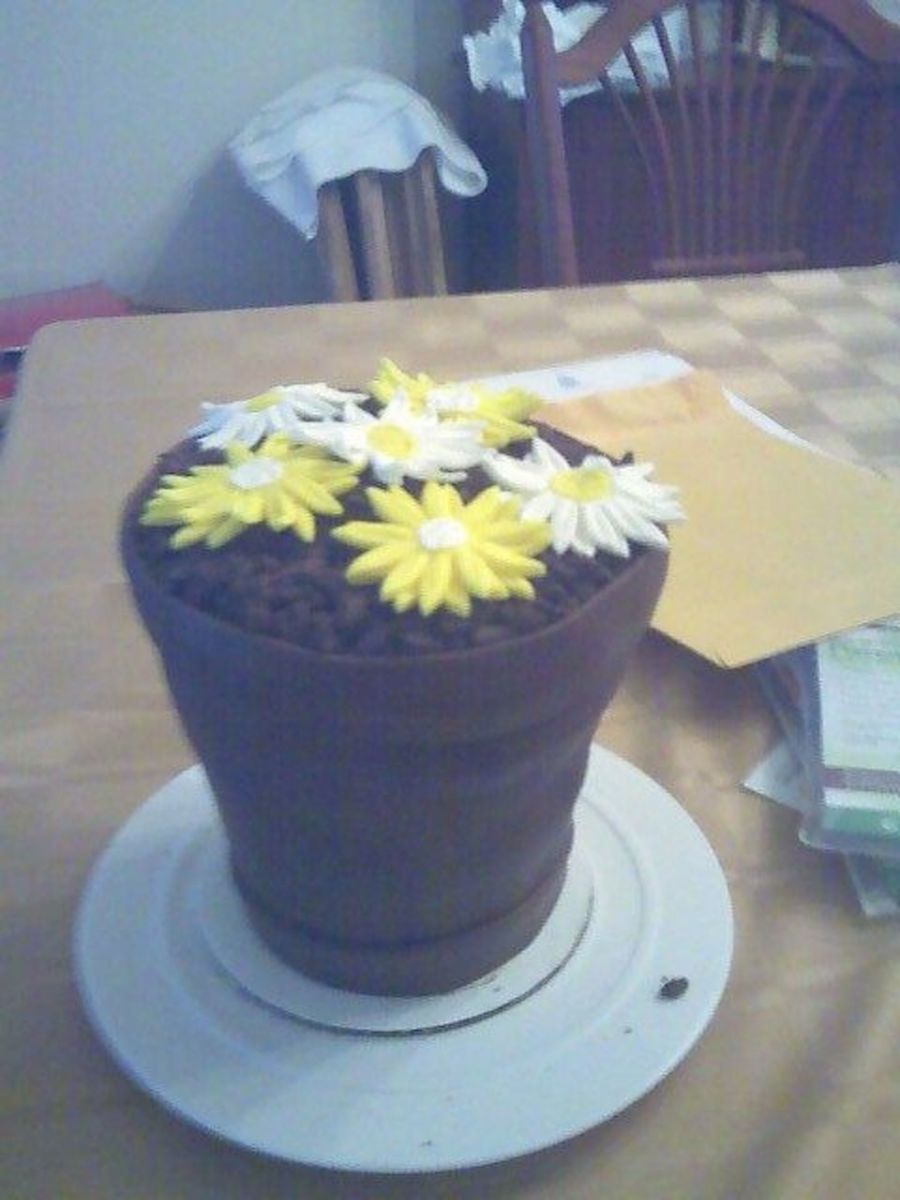 Flower_Pot_Cake.jpg - CakeCentral.com