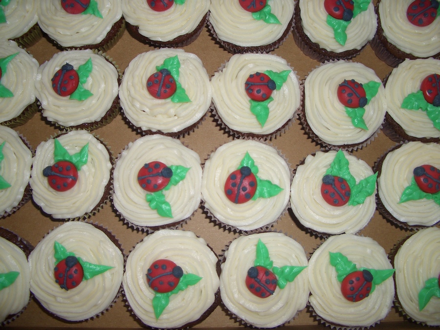 Ladybug Cupcakes - CakeCentral.com