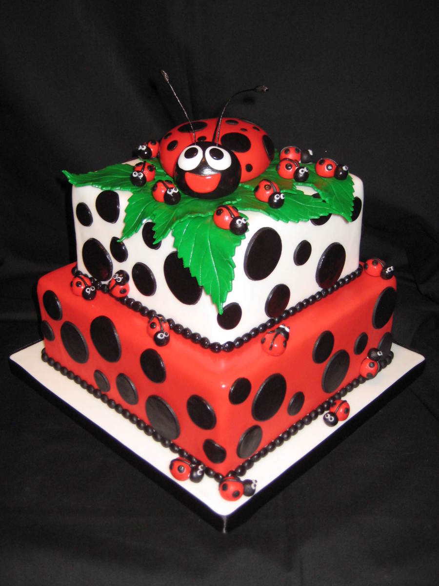 Ladybug Cake - CakeCentral.com