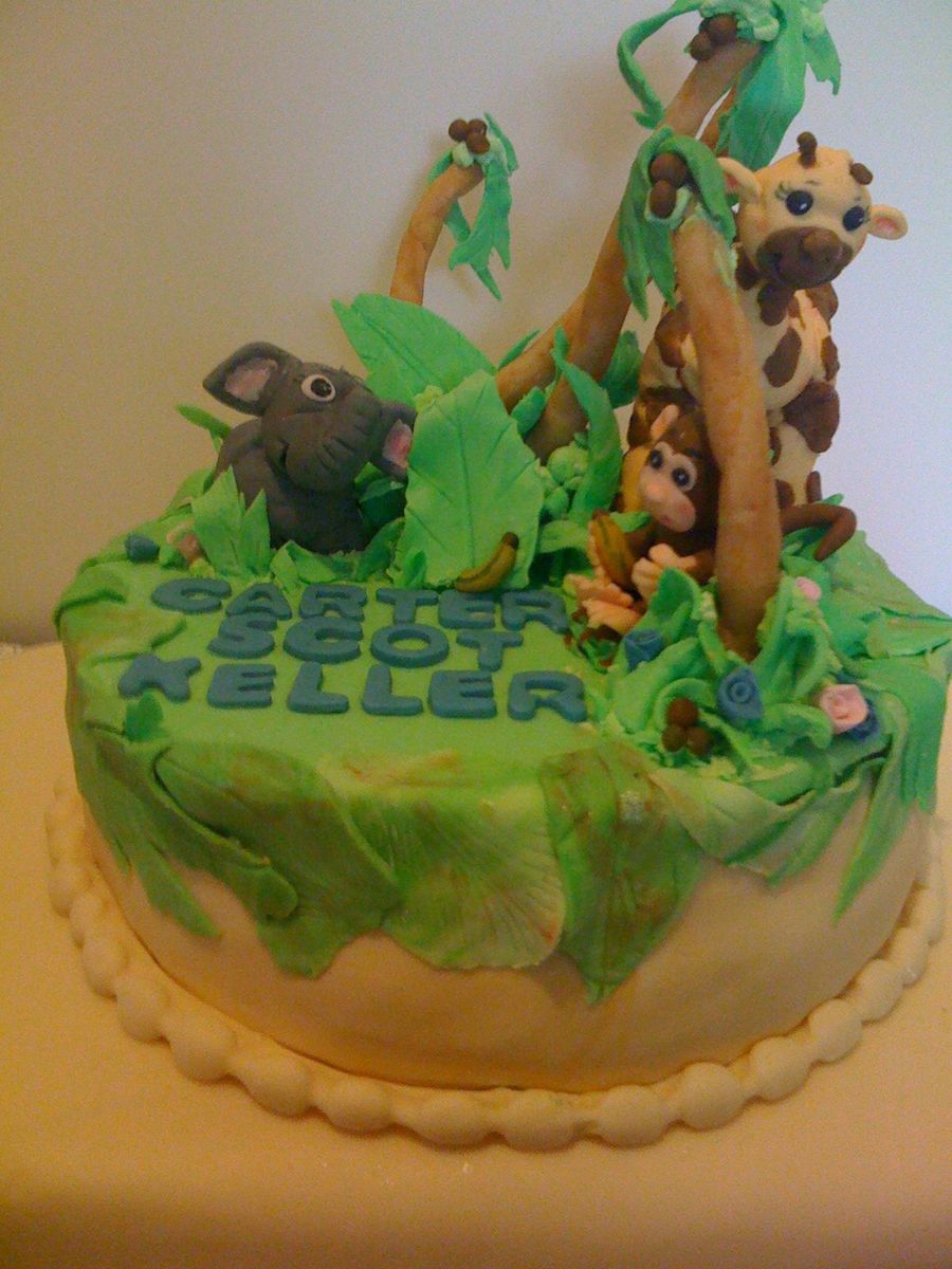 Jungle Themed Baby Shower Cake - CakeCentral.com