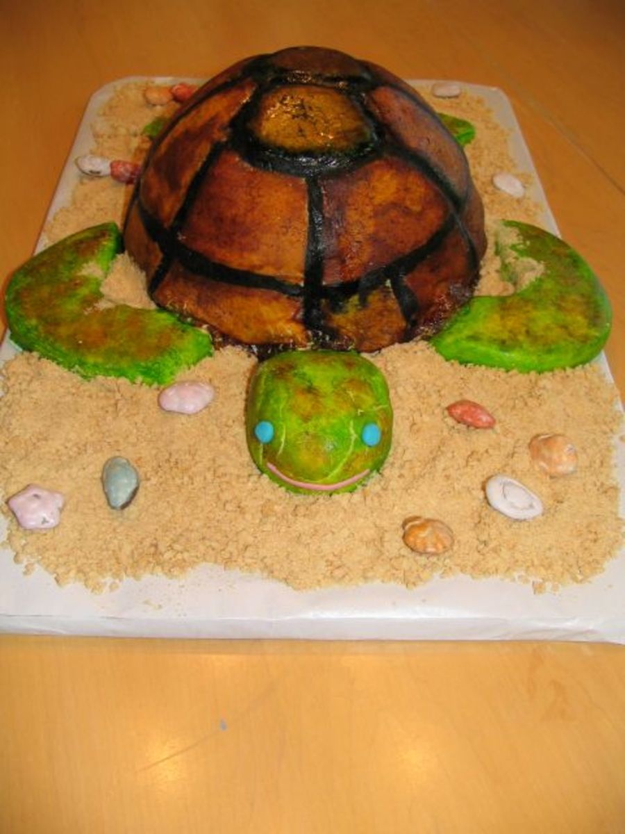 Sea Turtle Birthday Cake - CakeCentral.com