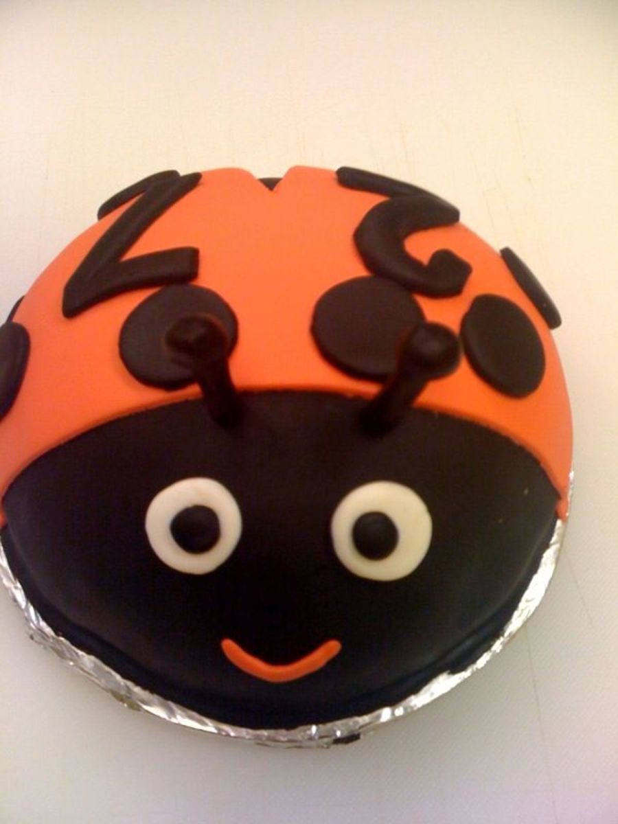Ladybug Mini Cake - CakeCentral.com