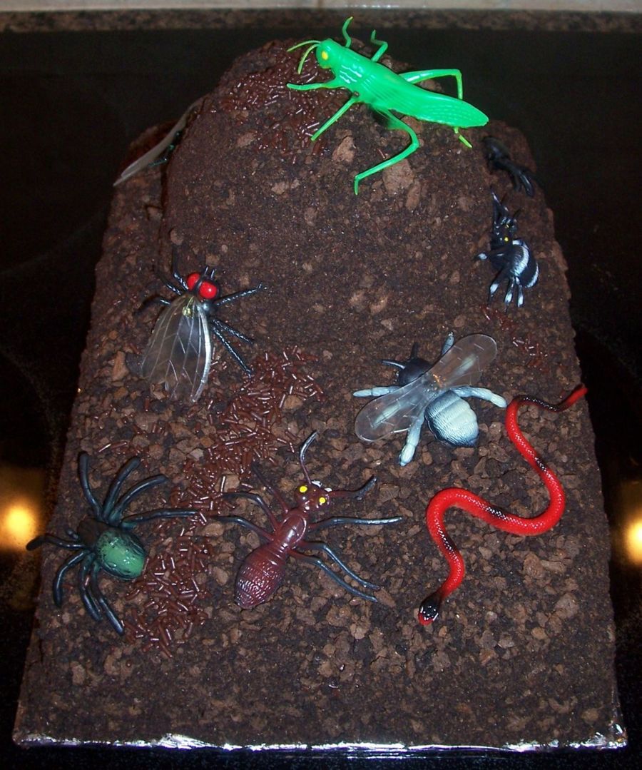 Bug Cake - CakeCentral.com