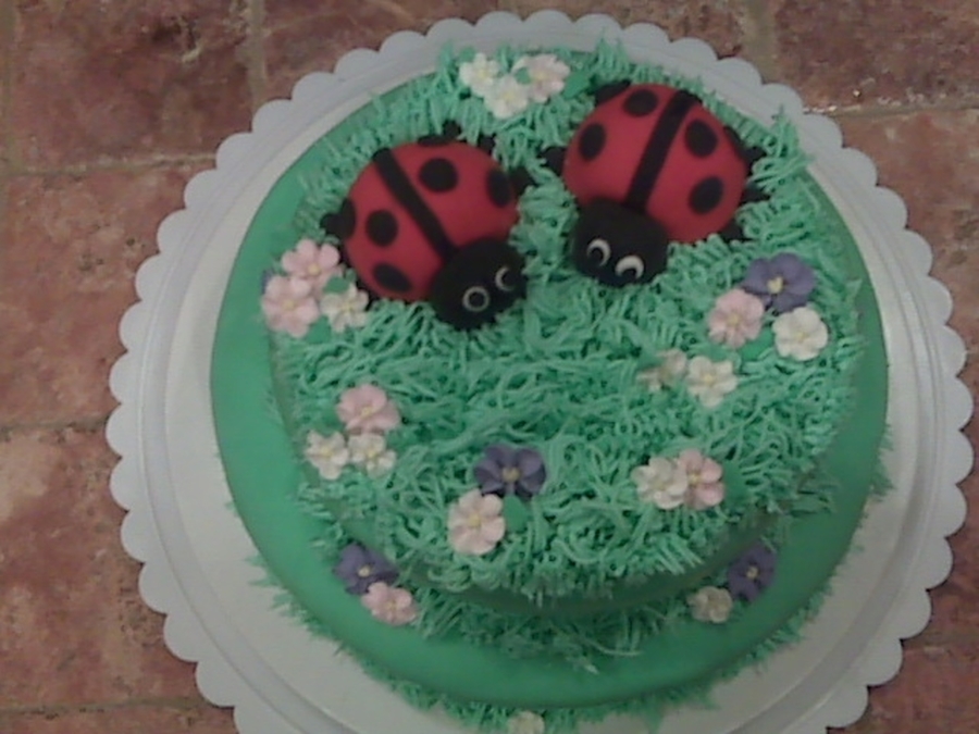 Ladybug Cake - CakeCentral.com
