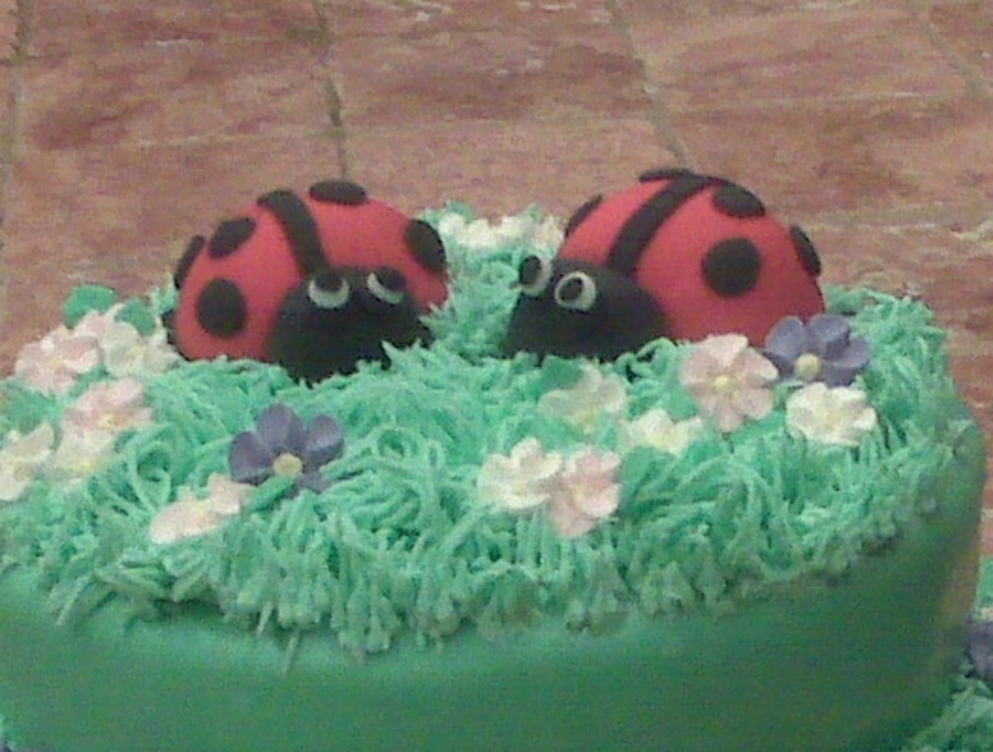 Ladybug Cake - CakeCentral.com